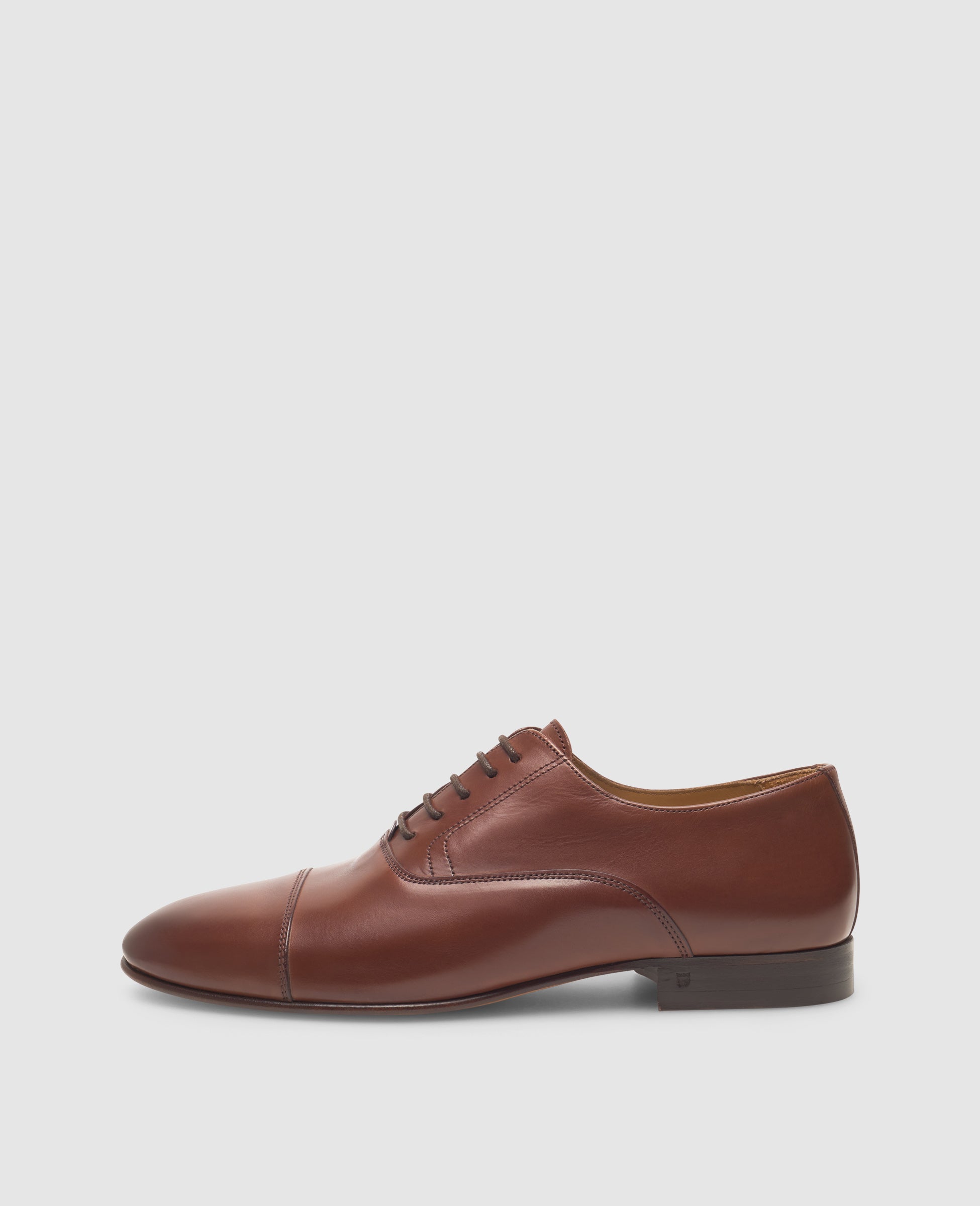 Maxwell & Co. in Brown - Henry Stevens