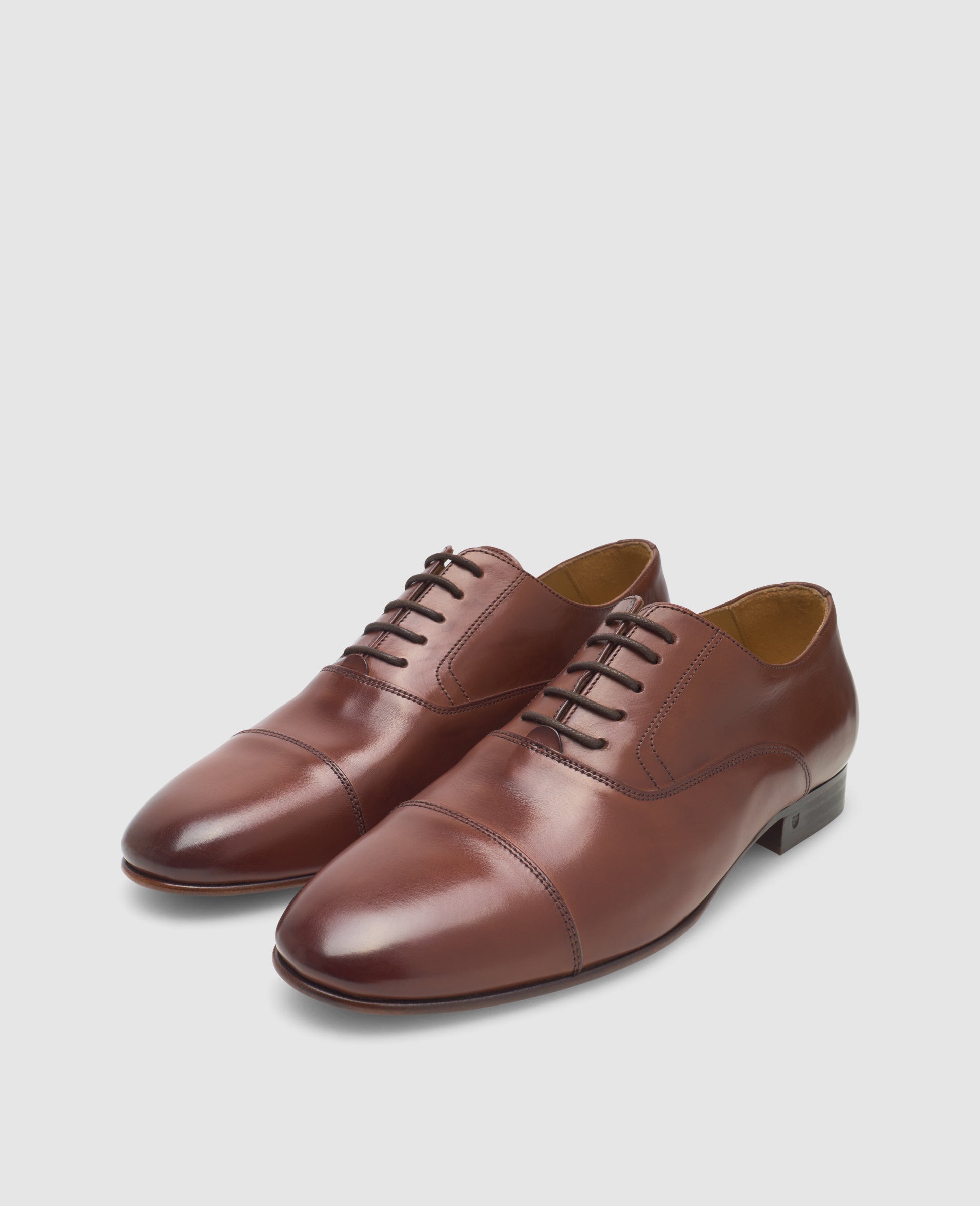 Maxwell & Co. in Brown - Henry Stevens